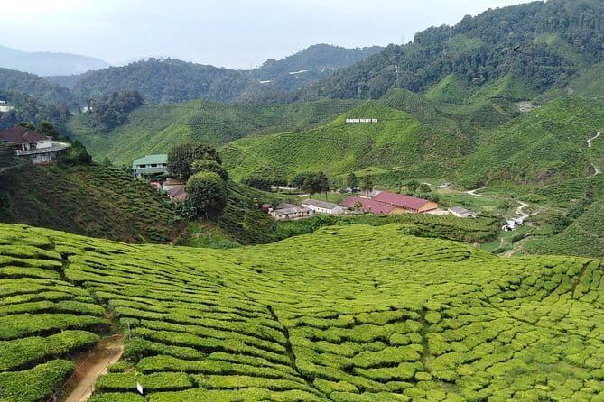 Forest Research Institute Malaysia (FRIM) Nature Trekking Tour - Why This Tour Offers Great Value