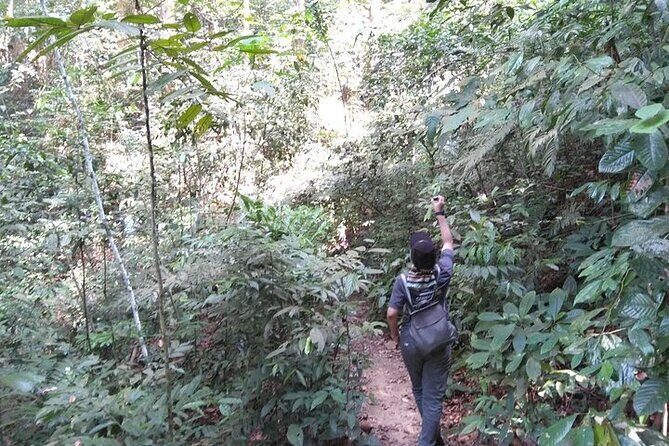 Forest Research Institute Malaysia FRIM Rainforest Private Tour - FAQ