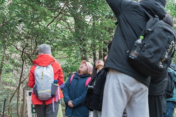 Forest Therapy in Sasaguri town - Exploring Sasaguri Forest Therapy: An In-Depth Review