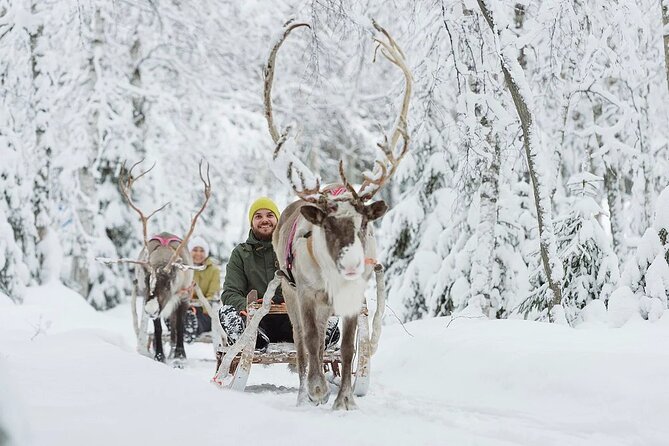 Forest Trail Reindeer Safari - The Itinerary Breakdown: What Makes Each Part Special