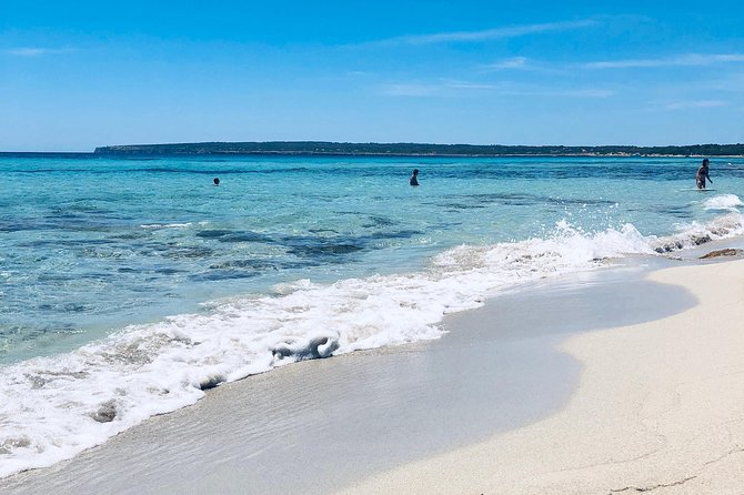 Formentera Small-Group Day Trip by Sailboat From Ibiza - Reviews and Feedback