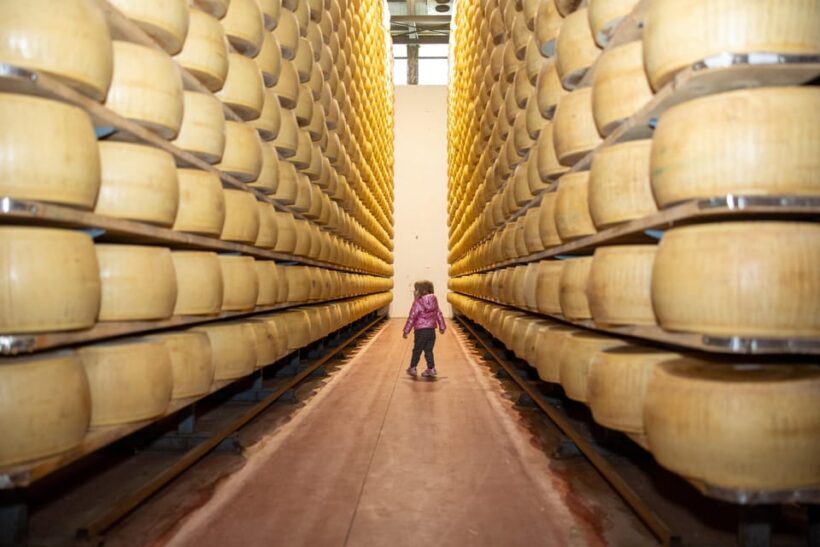 Formigine: Parmesan cheese tour with full tasting - Key Points