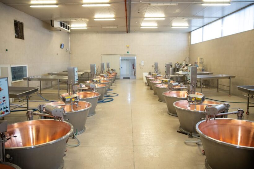 Formigine: Parmesan cheese tour with full tasting - A Closer Look at the Parmesan Cheese Tour in Emilia-Romagna