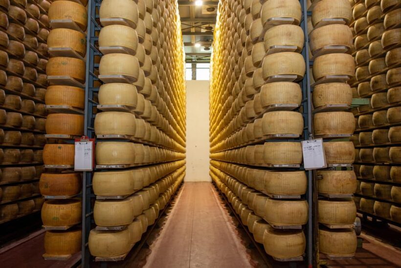 Formigine: Parmesan cheese tour with full tasting - Final Thoughts: Is This Tour for You?