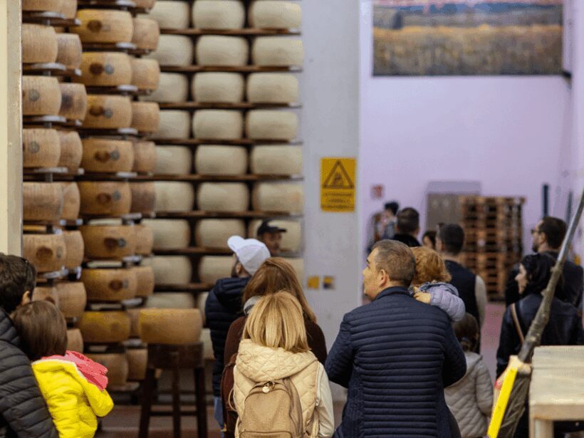 Formigine: Parmesan Factory Tasting and Tour near Modena - Authenticity and Visitor Feedback