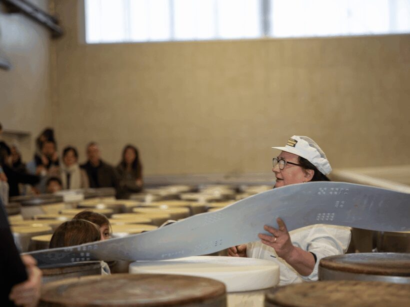 Formigine: Parmesan Factory Tasting and Tour near Modena - Who Will Love This Tour?