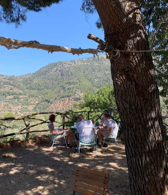 Fornalutx - hiking to the olive farm & oil tasting - The Value of the Experience