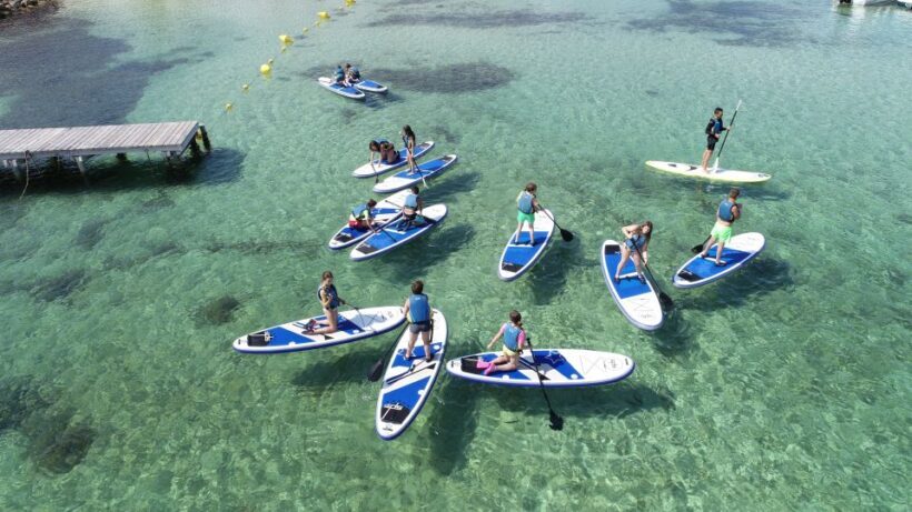 Fornells Bay: 2-Hour Stand-Up Paddle Excursion - Practical Tips for Your Paddle Experience