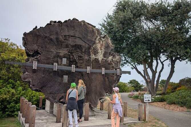 Fort Bragg California Scavenger Hunt Walking Activity and Game - Who Should Consider This Tour?