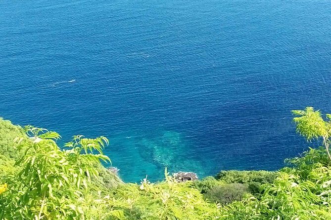 Fort Charlotte, Botanical Gardens and Kingstown Tours with Detention Tours - Analyzing the Value