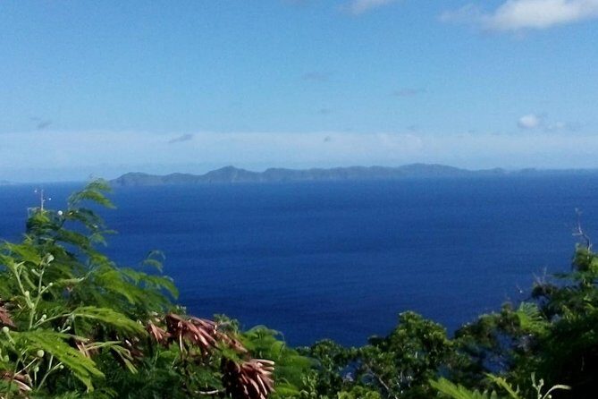 Fort Charlotte, Botanical Gardens and Kingstown Tours with Detention Tours - FAQs