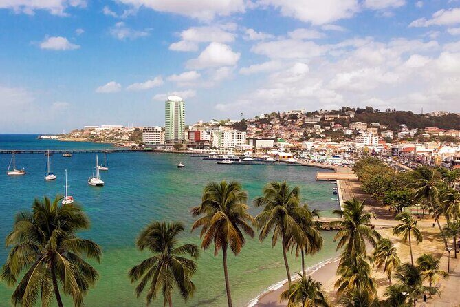 Fort-de-France Private 2-Hour Walking Tour - Final Thoughts