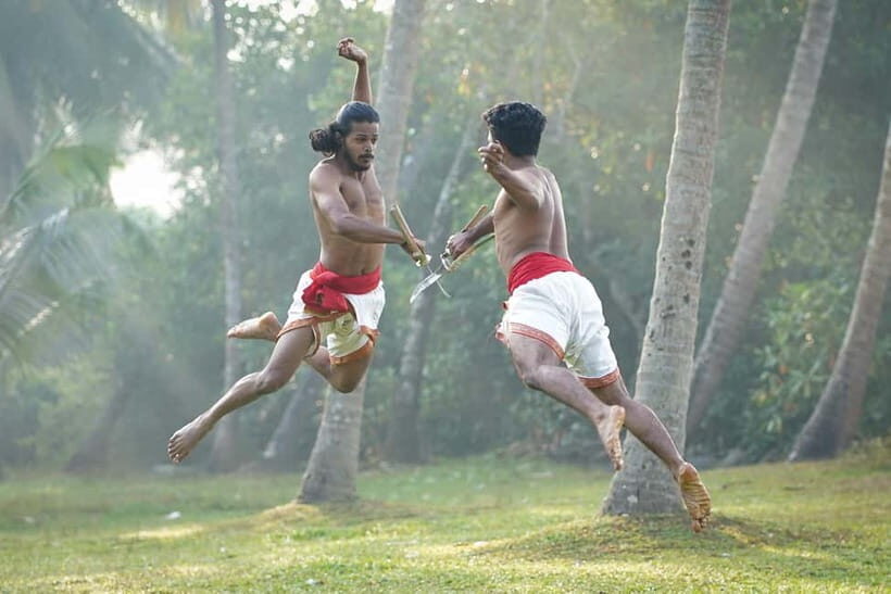 Fort Kochi: Kalaripayattu Martial Arts Show Ticket - A Deep Dive into the Kalaripayattu Experience