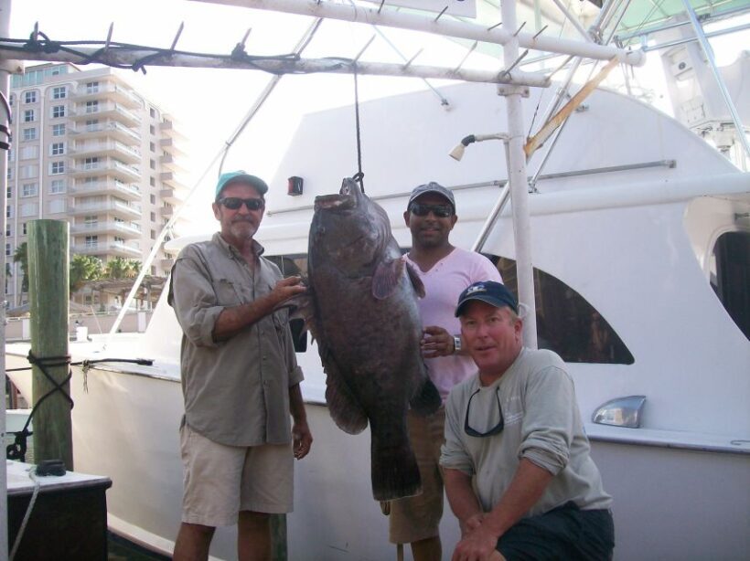Fort Lauderdale: 4-Hour Sport Fishing Shared Charter - Who Will Love This Trip?