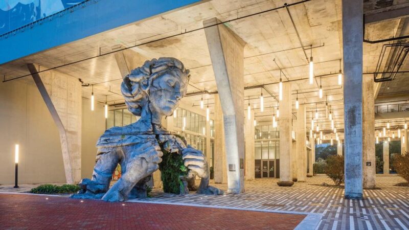 Fort Lauderdale: 6 People Golf Cart Rental - What Could Be Improved