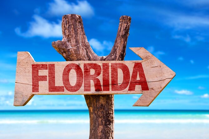 Fort Lauderdale Airport Private Transfer (Up To 14 Passengers) - The Sum Up: Who Benefits Most from This Transfer?