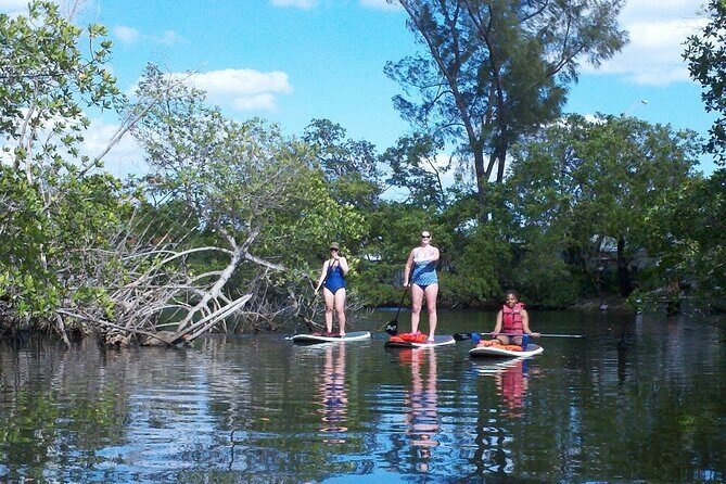 Fort Lauderdale Bonnet House Ground and Guided Paddle Board Kayak - Practical Details: What You Need to Know