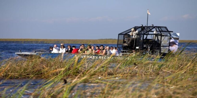 Fort Lauderdale: Everglades Express Tour with Airboat Ride - The Sum Up: Who Is This Tour Perfect For?