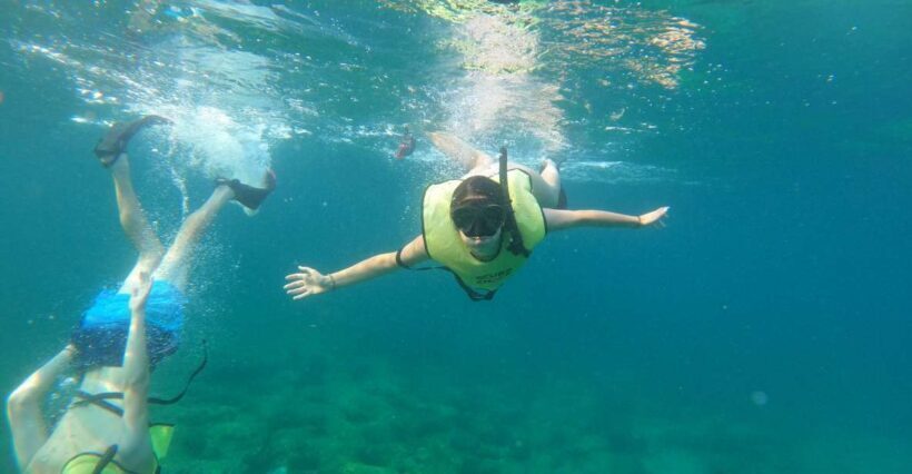 Fort Lauderdale: Guided Snorkeling Reef Tour and Lesson - An honest breakdown of the snorkeling experience