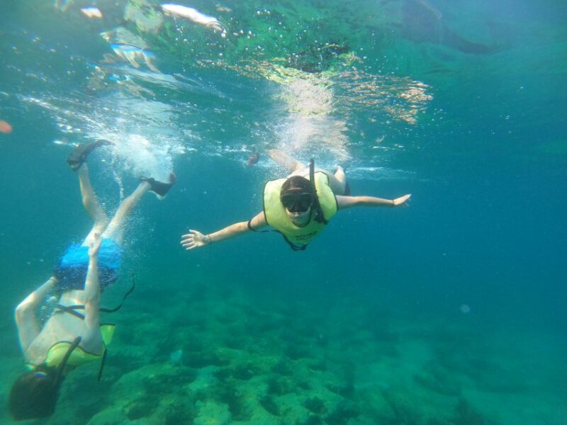 Fort Lauderdale: Guided Snorkeling Reef Tour and Lesson - Who Should Book This Tour?