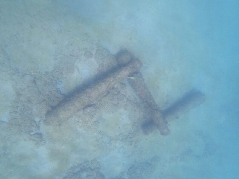 Fort Lauderdale: Guided Snorkeling Reef Tour and Lesson - FAQ