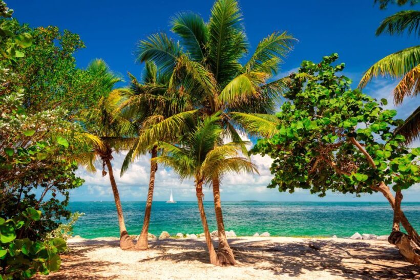 Fort Lauderdale: Key West Day Trip with Optional Activities - Who Should Consider This Trip?