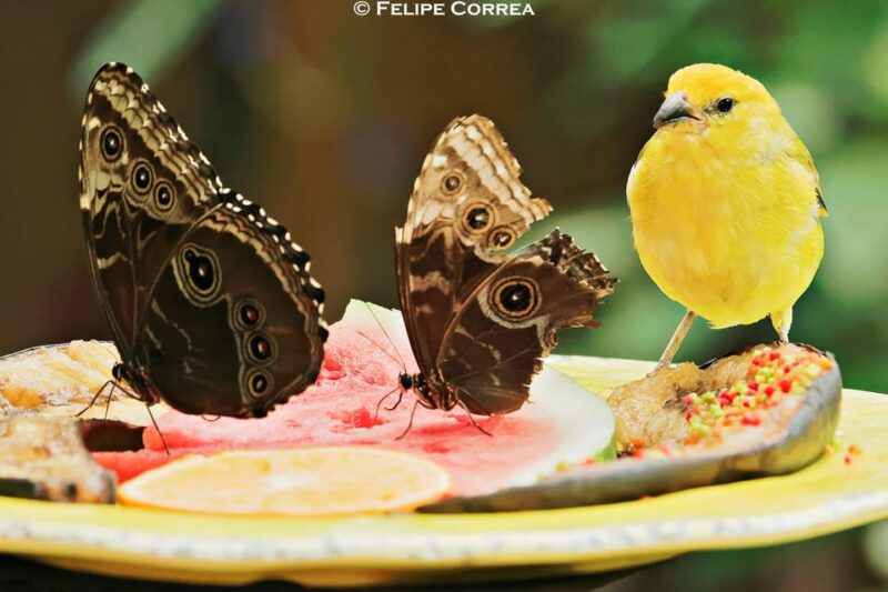 Fort Lauderdale to Key West Day Trip - Final Thoughts