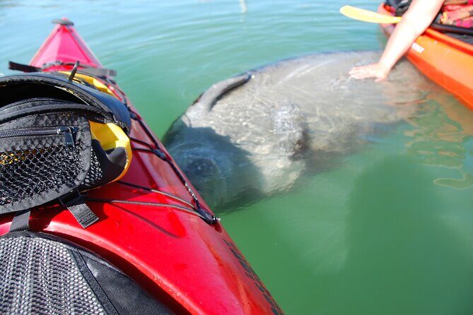 Fort Lauderdales Tropical Kayak Tour and Island Adventure - What Makes This Tour Special?