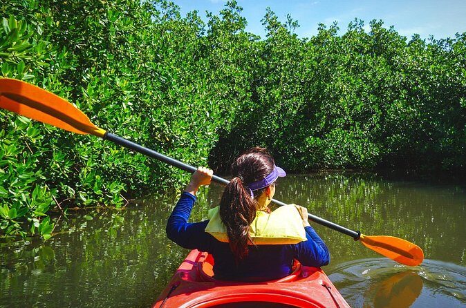 Fort Lauderdales Tropical Kayak Tour and Island Adventure - Overall Value & Who It’s Best For