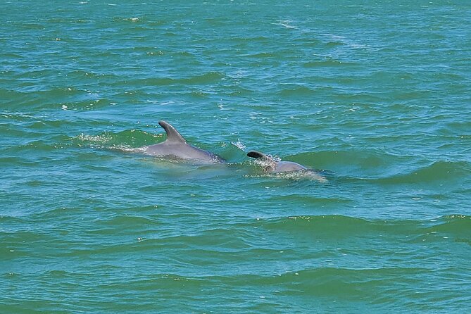 Fort Myers Beach Dolphin & Sightseeing Tour Refreshments Included - Refreshments Provided on the Tour