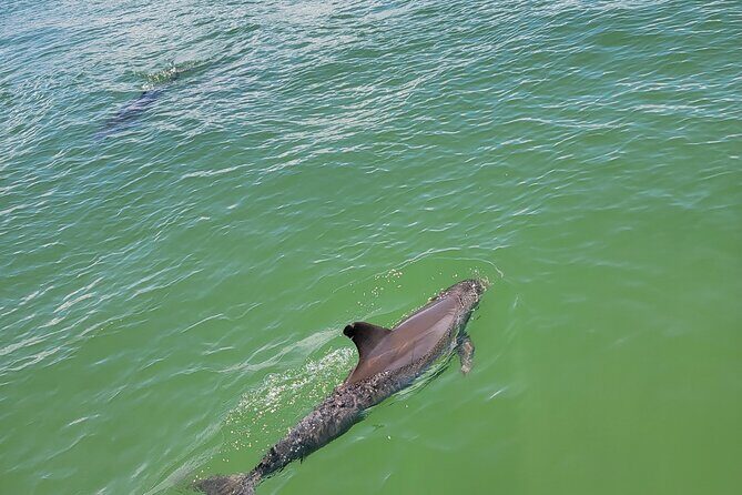 Fort Myers Beach Sunset Excursion - Who Will Enjoy This Tour?