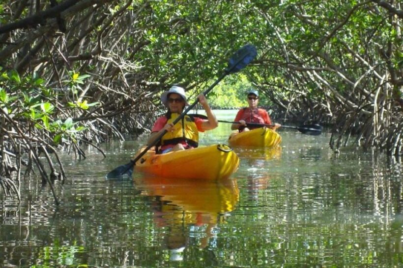 Fort Myers: Guided Kayak or SUP Tour in Pelican Bay - An Honest Look at the Experience