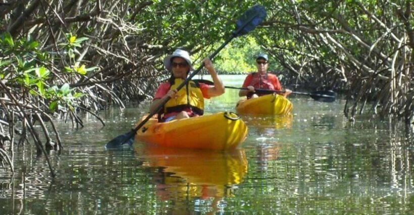 Fort Myers: Guided Kayak or SUP Tour in Pelican Bay - Why It’s a Good Choice—and Who Might Want More