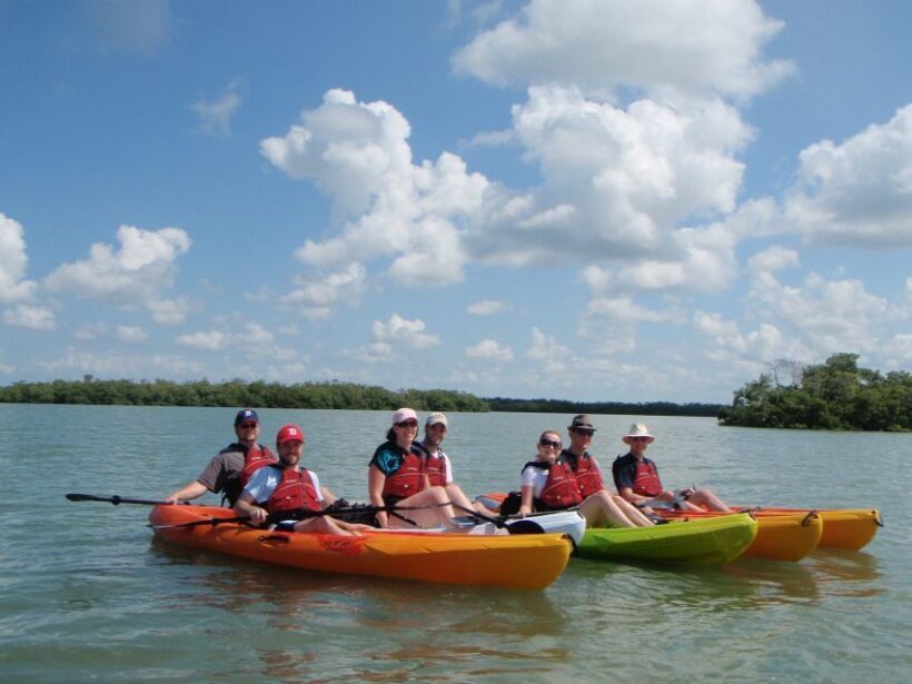 Fort Myers: Guided Kayaking Eco Tour in Pelican Bay - The Landscape and Wildlife Encounters