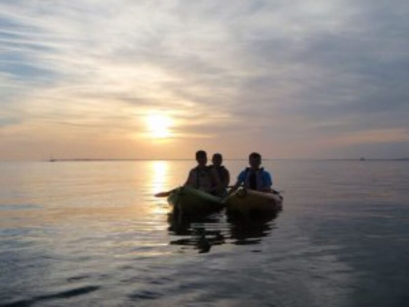 Fort Myers: Guided Sunset Kayaking Tour through Pelican Bay - Key Points