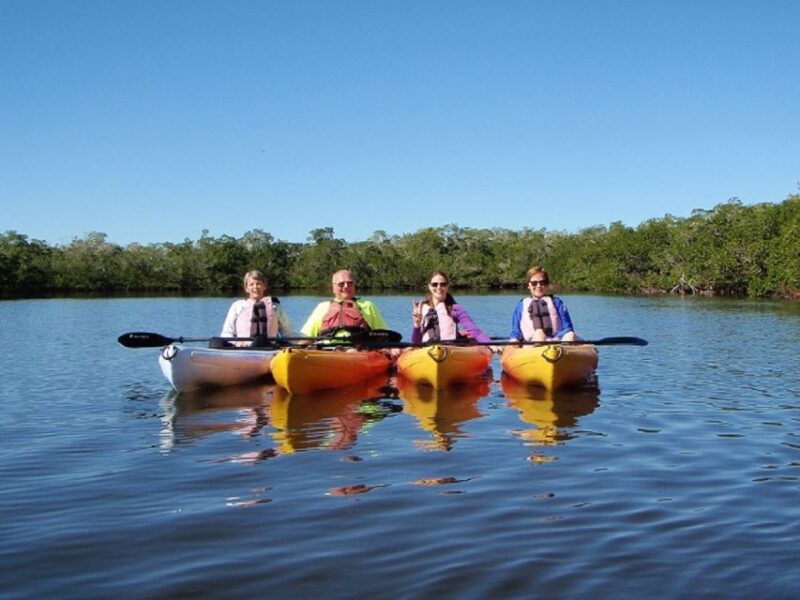 Fort Myers: Guided Sunset Kayaking Tour through Pelican Bay - Who Might Want to Pass?