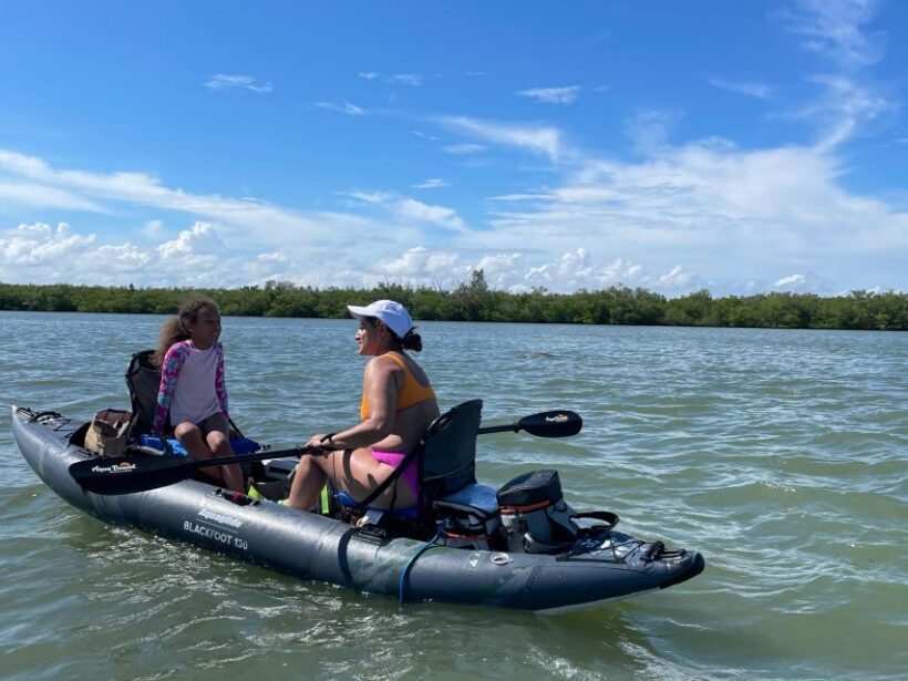 Fort Pierce: 4-hr Mangroves & Dolphin Watch Sandbar in FL - Practical Details and Value