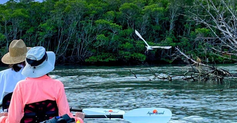 Fort Pierce: 4-hr Mangroves & Dolphin Watch Sandbar in FL - FAQ