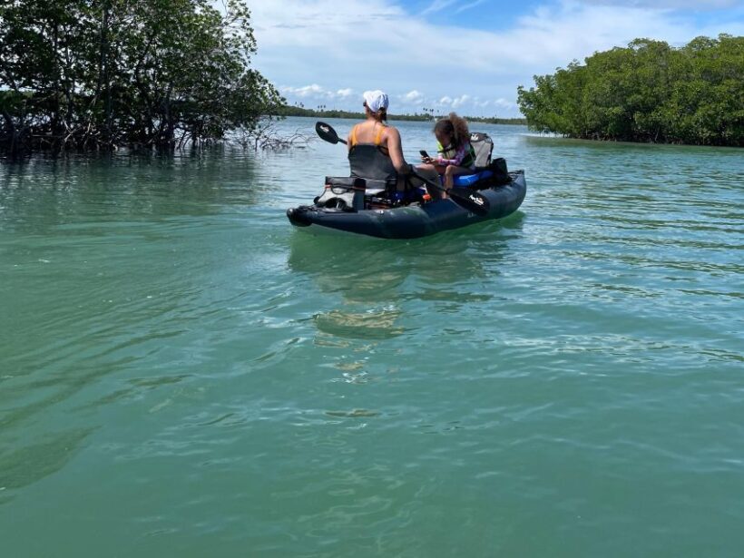 Fort Pierce: 6-hr Mangroves, Coastal Rivers & Wildlife in FL - Who Will Love This Tour?