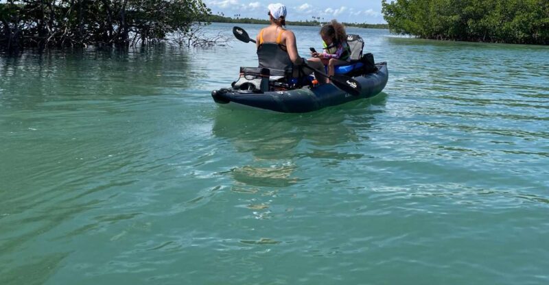 Fort Pierce: 6-hr Mangroves, Coastal Rivers & Wildlife in FL - Key Points