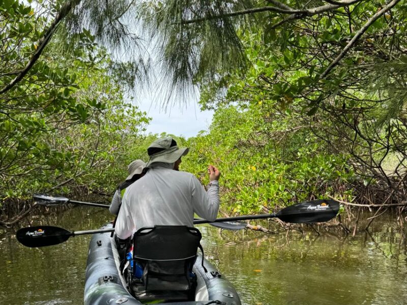 Fort Pierce: 6-hr Mangroves, Coastal Rivers & Wildlife in FL - Final Thoughts: Is It Worth It?