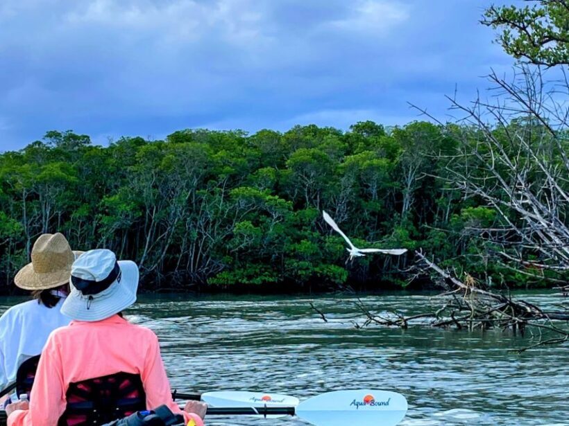 Fort Pierce: 8-hr Jungle and Lagoon passage to Ocean in FL - The Practicalities: Pricing, Group Size, and Value
