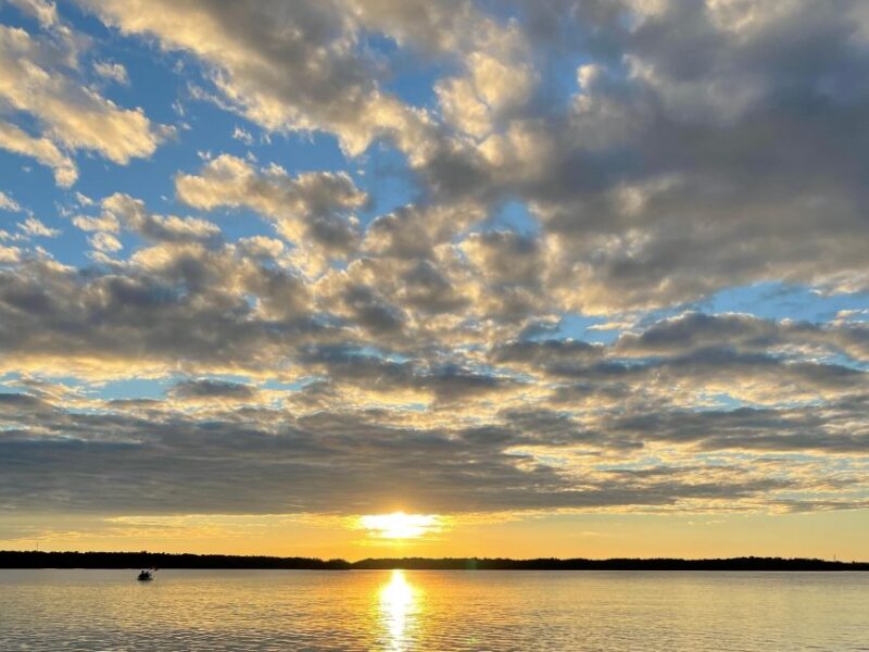 Fort Pierce: 8-hr Jungle and Lagoon passage to Ocean in FL - Who Will Love This Tour?