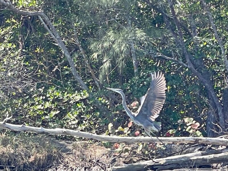 Fort Pierce: 8-hr Jungle and Lagoon passage to Ocean in FL - The Sum Up