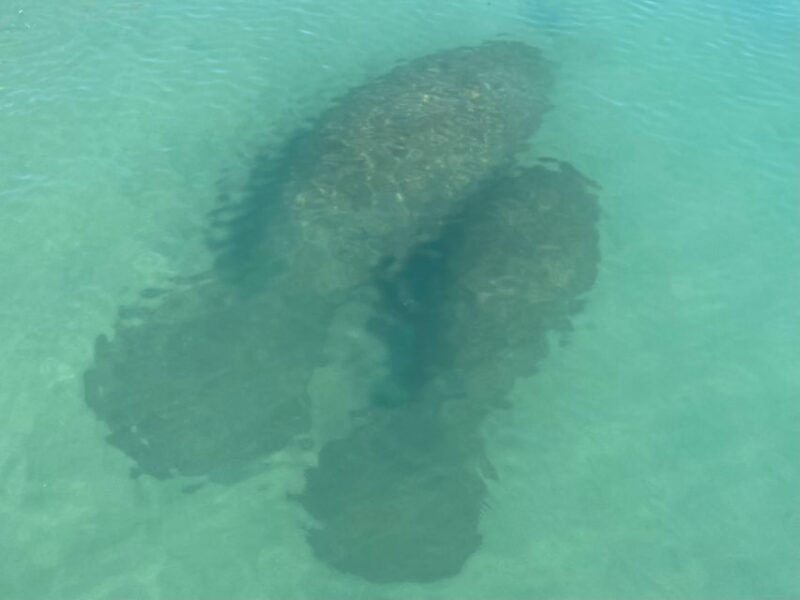 Fort Pierce: 8-hr Jungle and Lagoon passage to Ocean in FL - FAQ