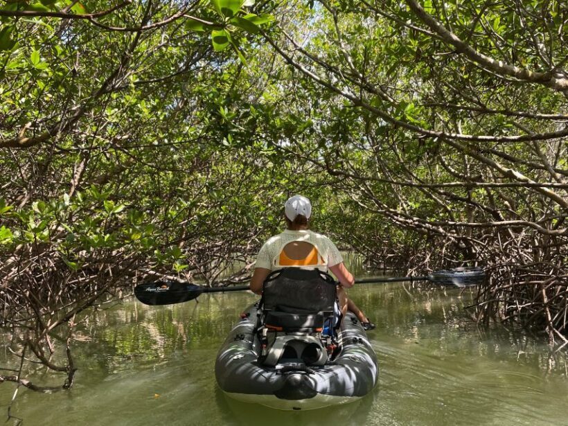 Fort Pierce: Prehistoric Preserve Kayak Tour - An In-Depth Look at the Fort Pierce Prehistoric Preserve Kayak Tour