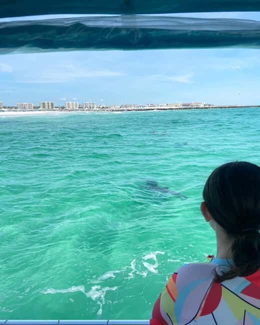 Fort Walton Beach: Emerald Coast 2-hour Dolphin Cruise - Practical Details and What’s Included