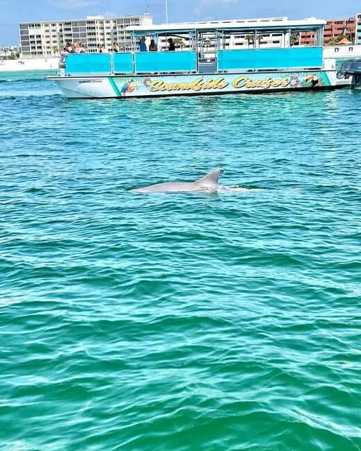 Fort Walton Beach: Emerald Coast 2-hour Dolphin Cruise - What Travelers Say