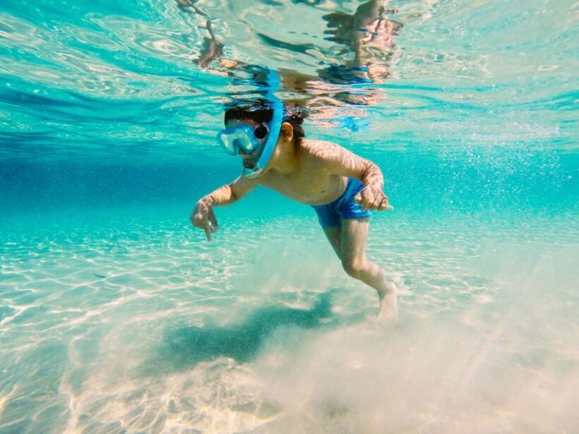 Fort Walton Beach: Morning Dolphin Cruise with Snorkel Stop - An In-Depth Look at the Experience
