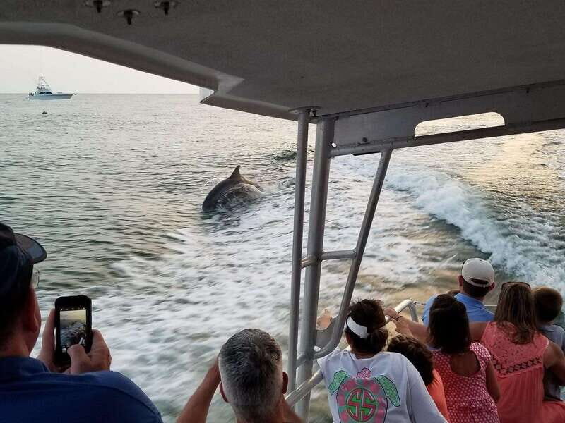 Fort Walton: Dolphin Discovery and Snorkeling Cruise - Who Will Love This Tour?
